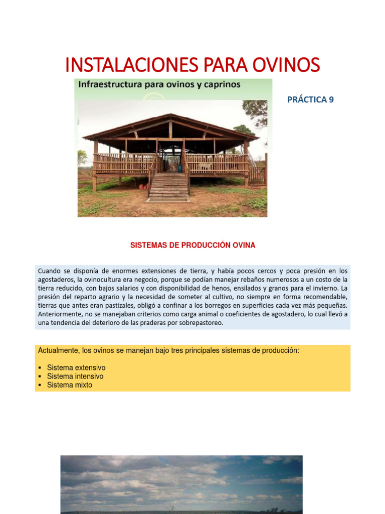 Alojamientos 6 | PDF | Oveja | Alimentos