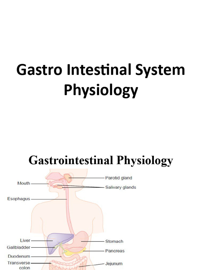 Regulation of GIT Processes | PDF | Digestion | Stomach Regulation of GIT Processes | PDF | Digestion | Stomach