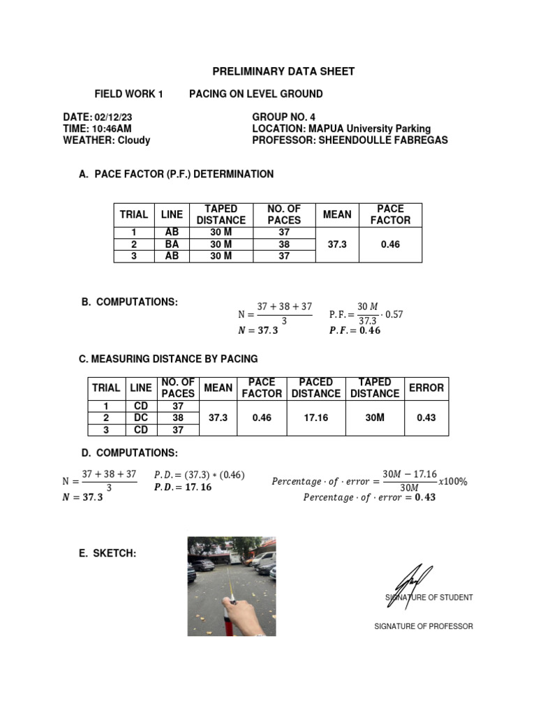 Preliminary Data Sheet Surveying Pascual | PDF