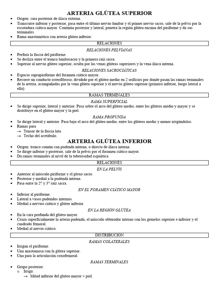 Arterias del MMII - Sistema de la arteria ilíaca externa | PDF ...