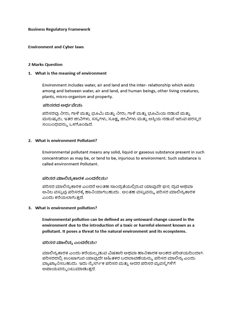 Business Regulatory Framework | PDF