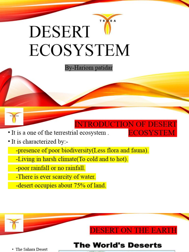 Desert Ecosystem | PDF | Ecosystem | Desert