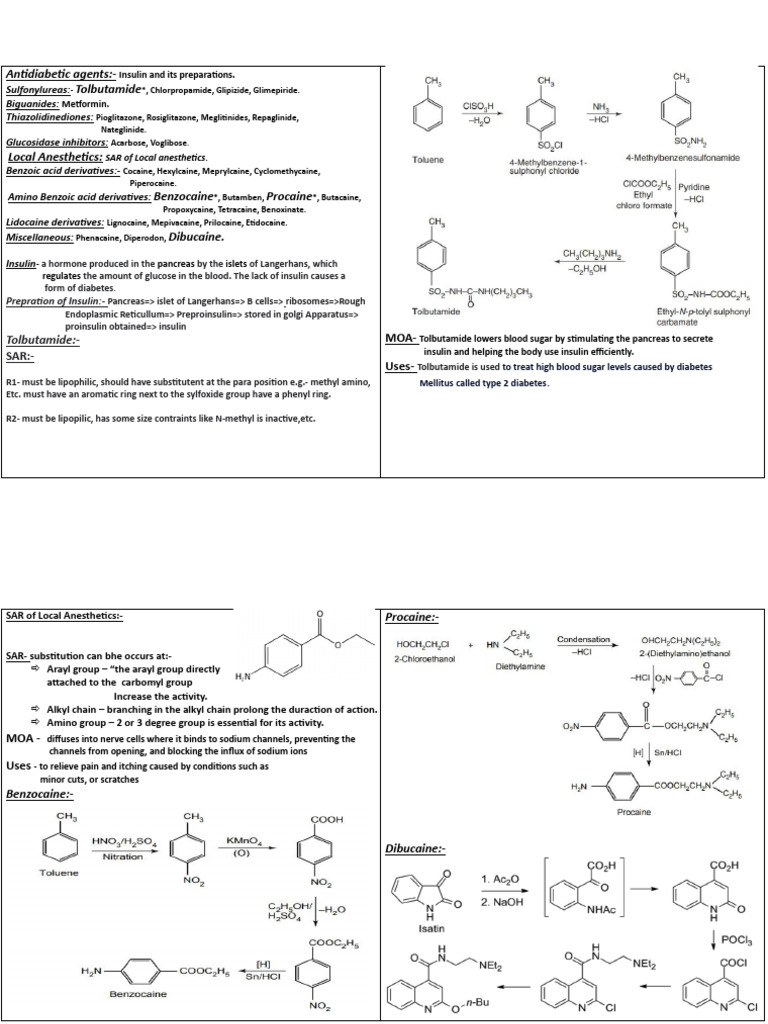 Unit 5 - Med. Chem. II | PDF | Insulin | Pancreas
