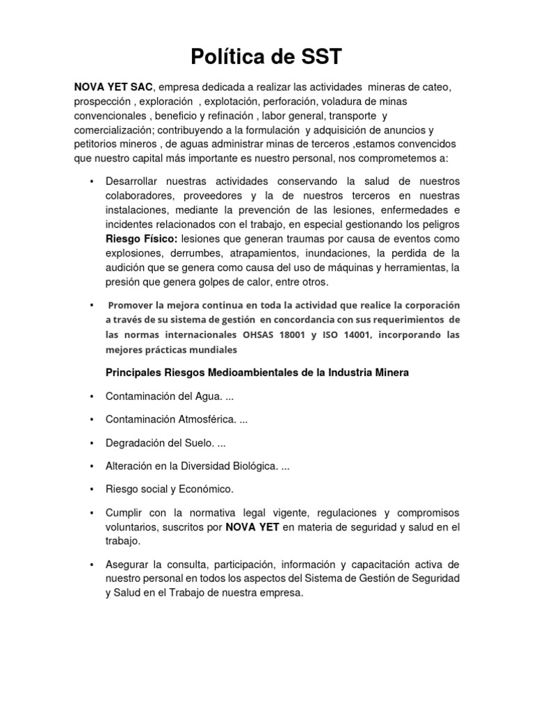 1 Modelo De Política De Sst 1 Pdf Business Entorno Natural