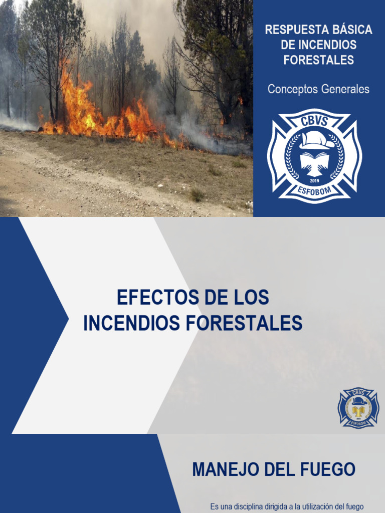 Clase 1 Forestal | PDF | Incendios | Fuego fatuo