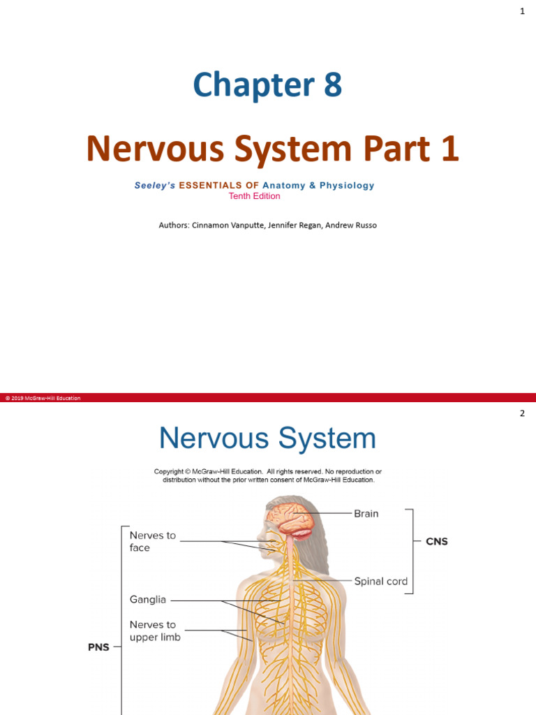 Anatomy & Physiology: Nervous System | PDF | Chemical Synapse | Myelin