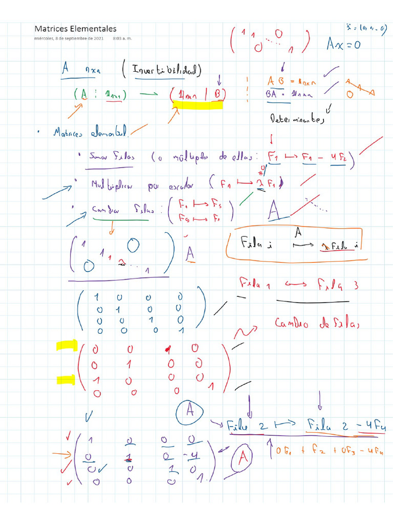 Matrices Elementales | PDF