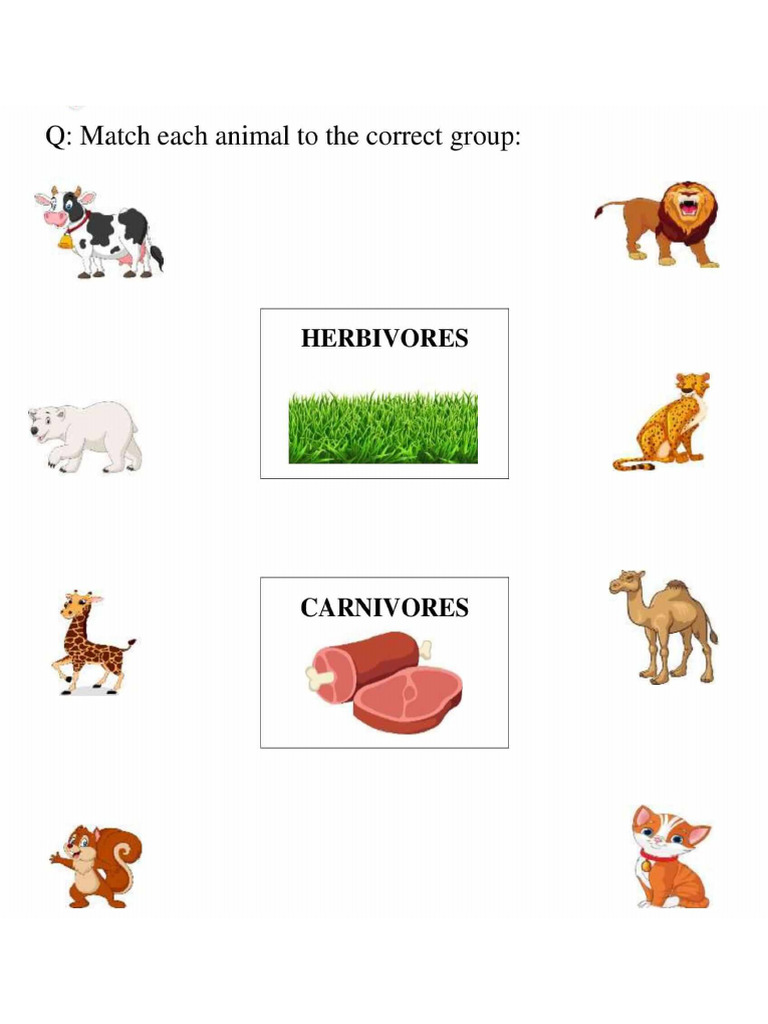 Carnivores, Herbivores, Omnivores Worksheet | PDF