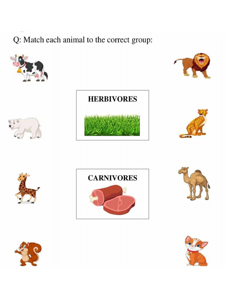 What Do Animals Eat (Worksheet) | PDF