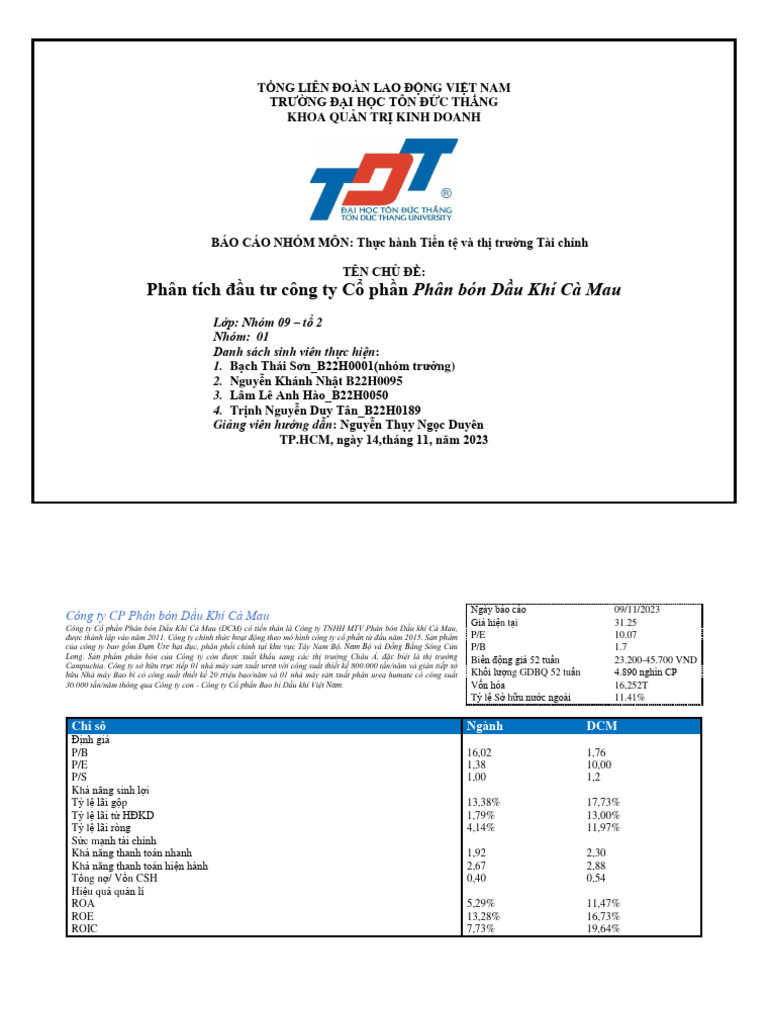 Báo Cáo Ngành Phân DCM | PDF
