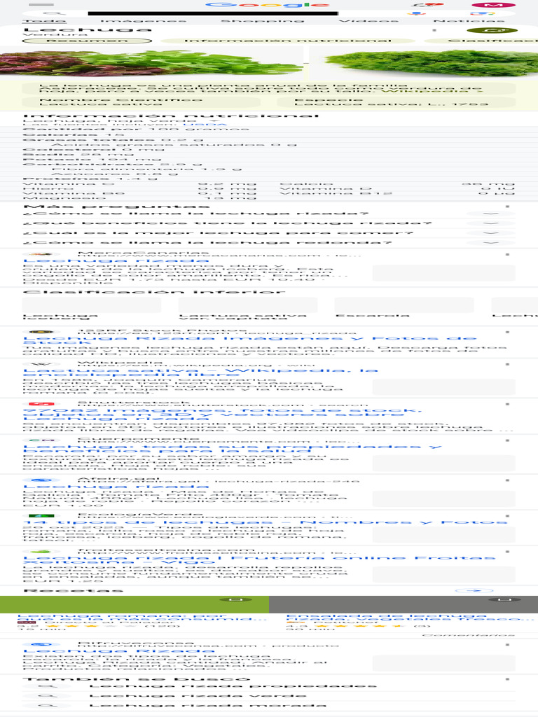 lechuga rizada - Buscar con Google | PDF | Lechuga | Comida y bebida