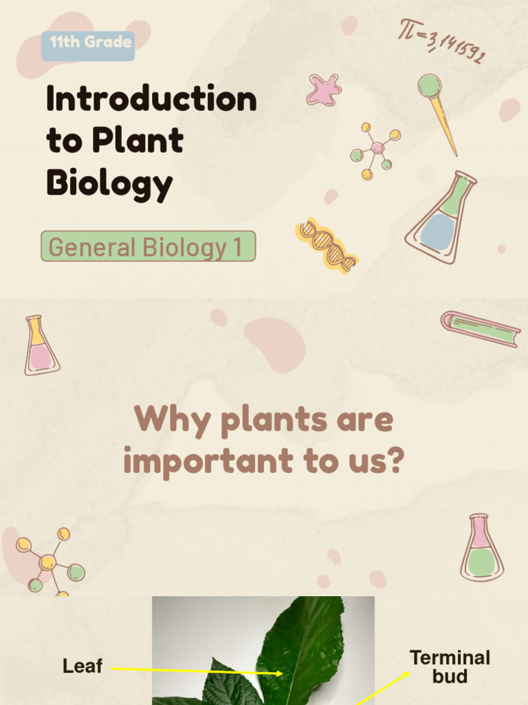Week-1-Part-2-Introduction-to-Plant-Biology | PDF | Chloroplast | Leaf