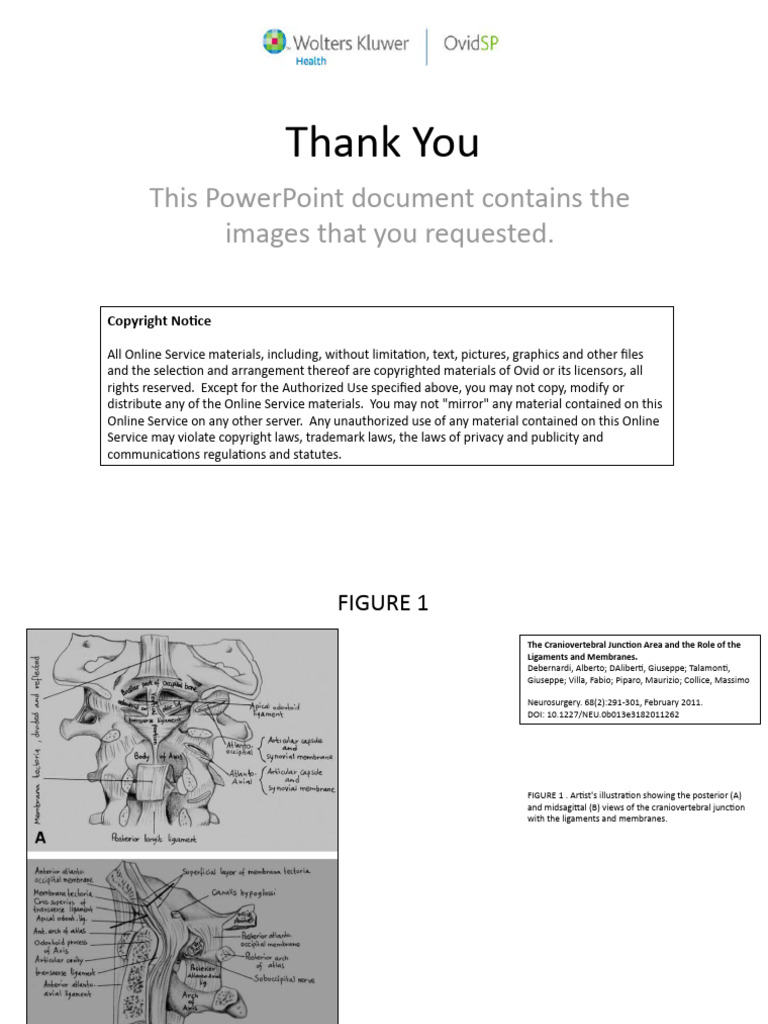 The Craniovertebral Junction Area and The Role of The Ligaments and ...