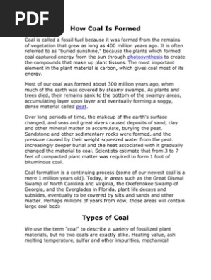 How Coal Is Formed
