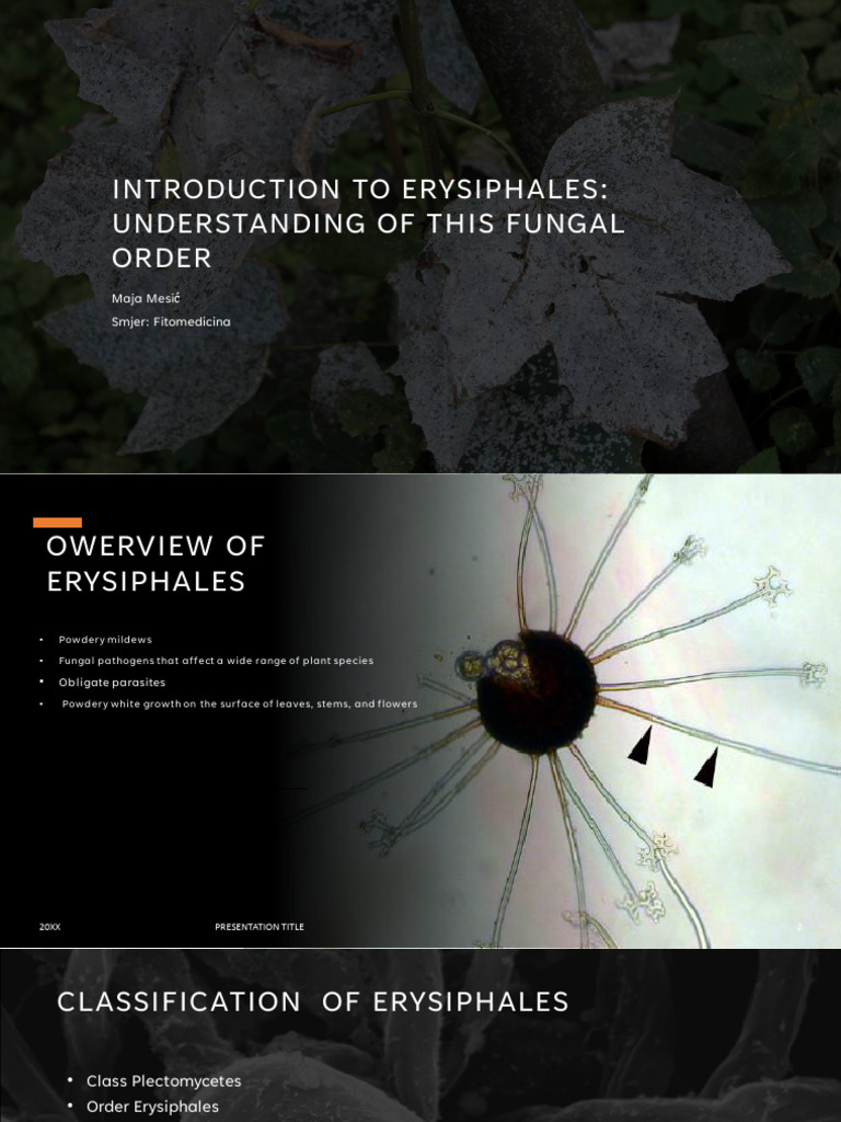Erysiphales | PDF | Fungus | Plants