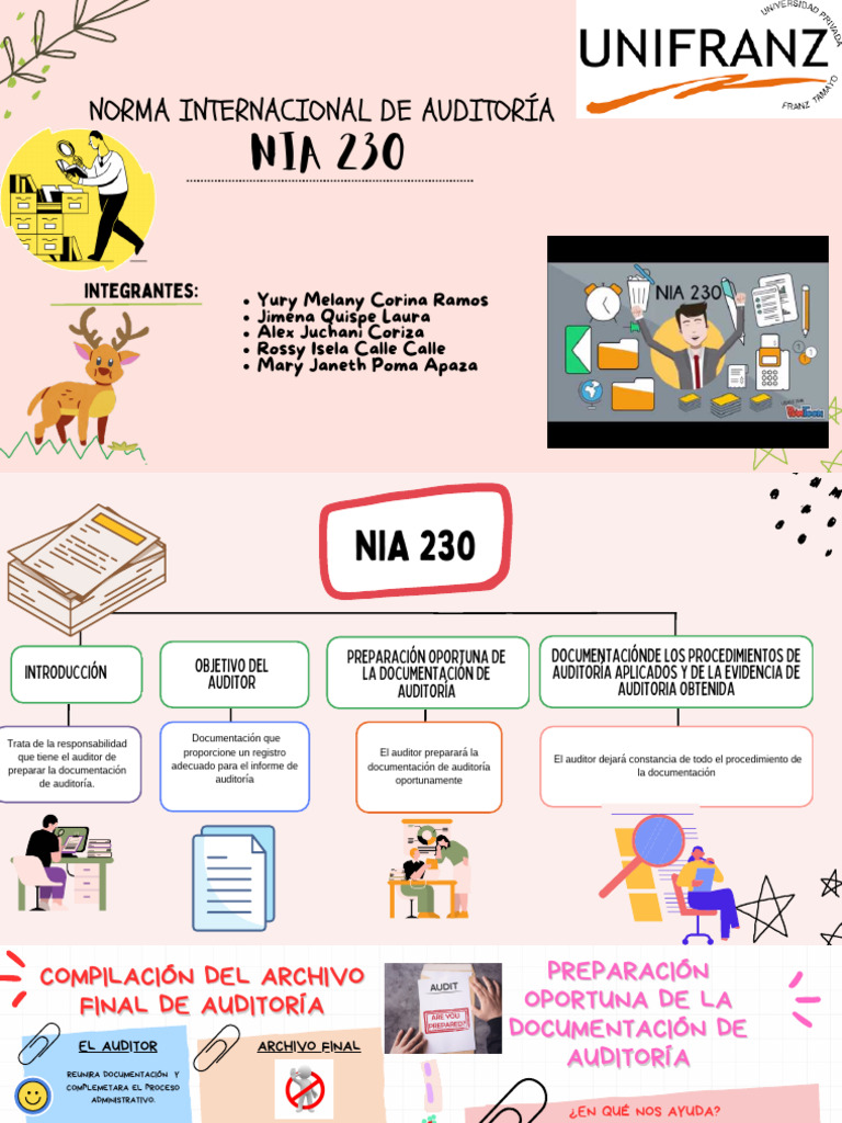 Nia 230 | PDF | Auditoría | Contralor