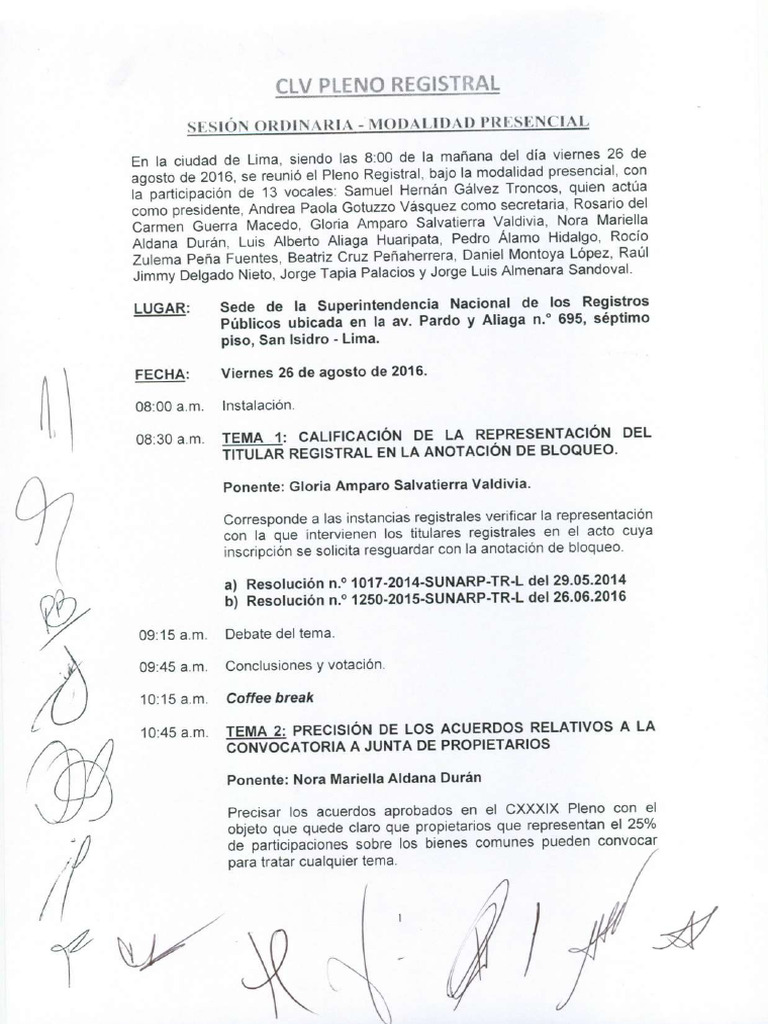 CLV Pleno TR Sunarp | PDF