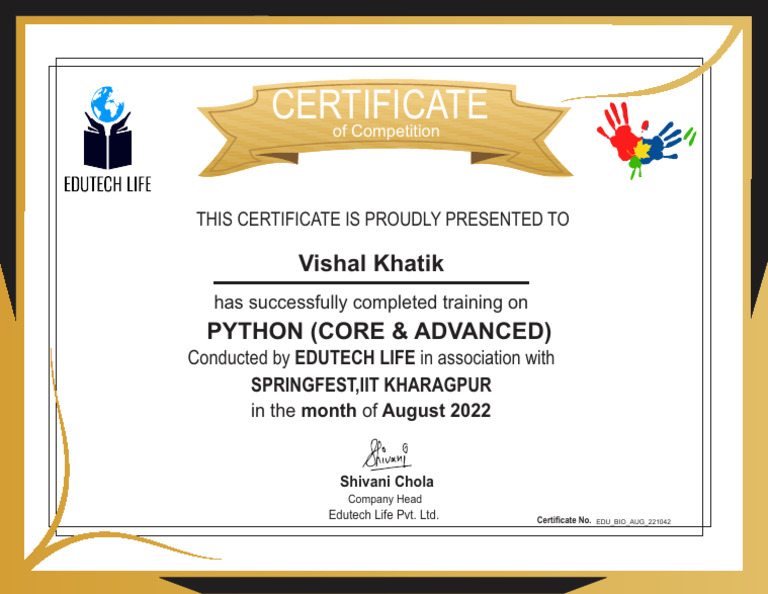 Iit KGP Internship Certi | PDF