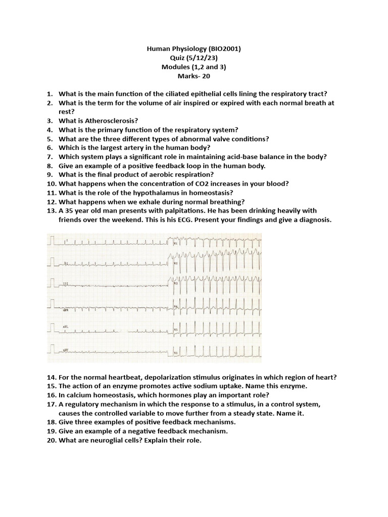Human Physiology (Quiz 1) | PDF