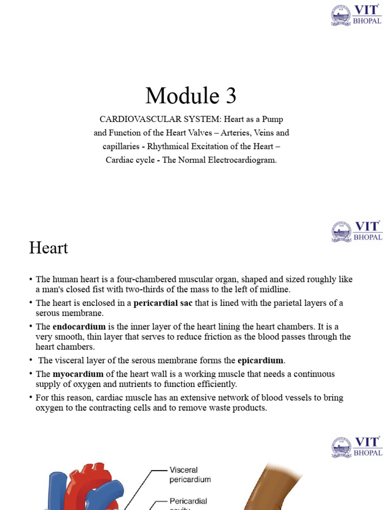 Module 3 | PDF | Heart | Heart Valve