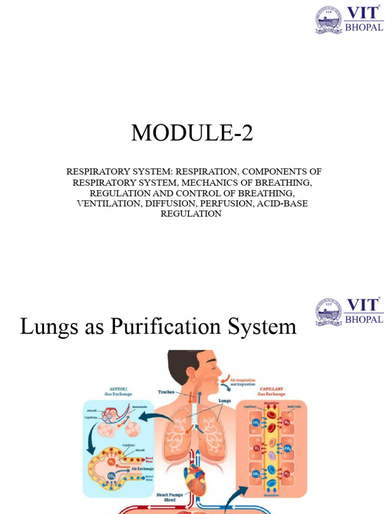 module 2 | PDF | Respiratory Tract | Lung