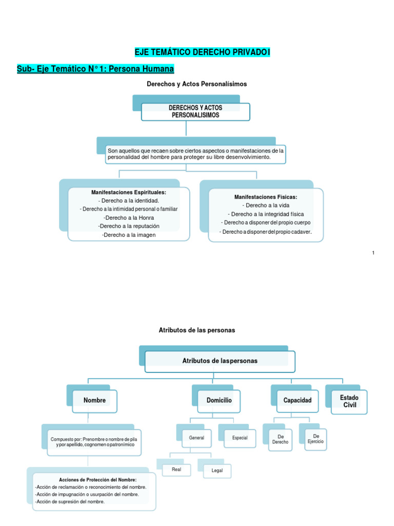 Derecho Privado I -Efip 1 - Mapa Conceptual | PDF | Bienes (Ley) | Justicia