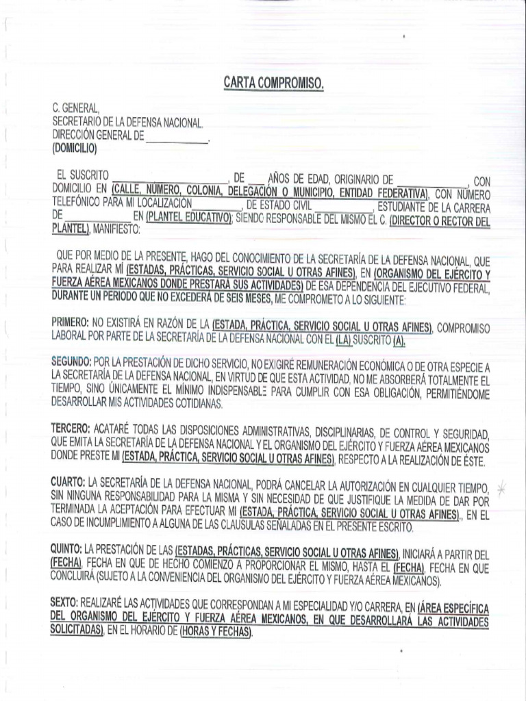 Formato de Carta Compromiso para El Servicio Social | PDF