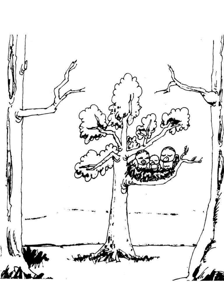 Test de Fábulas DUSS (Láminas) | PDF