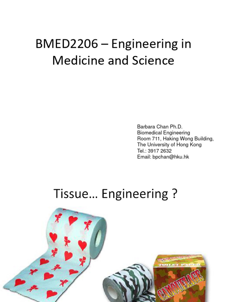 BMED2206: Tissue Engineering Overview | PDF | Stem Cell | Tissue Engineering