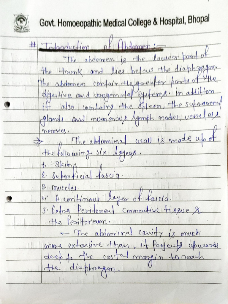 Abdomen, Bipul 1 | PDF