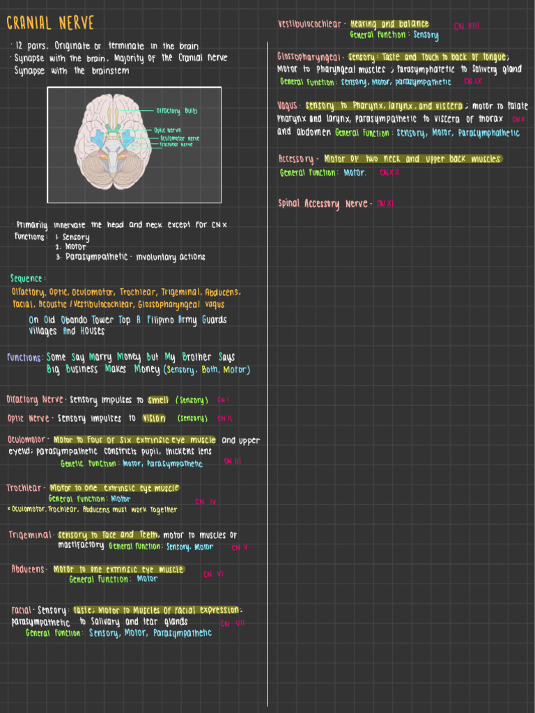 Cranial Nerve Assessment Guide | PDF | Human Anatomy | Nervous System