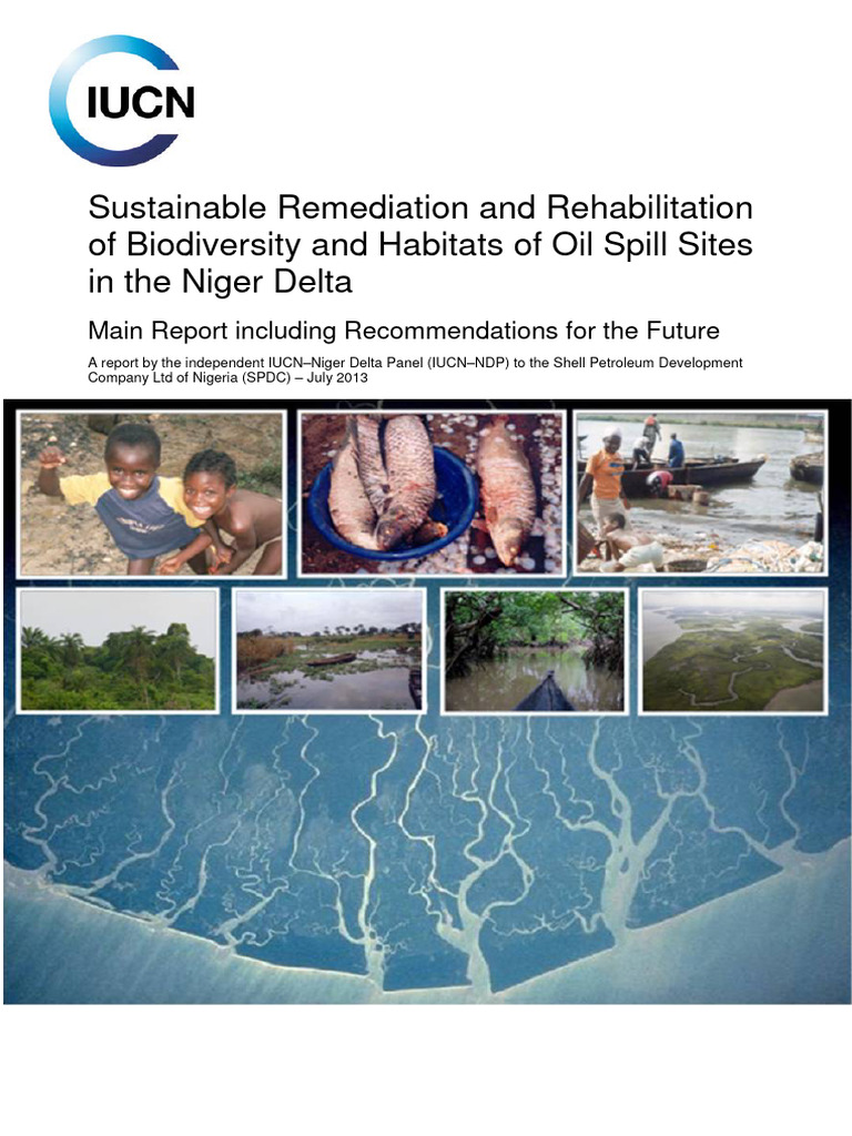 Sustainable Remediation and Rehabilitation Report by NDP | PDF ...
