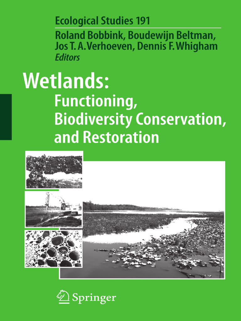 Wetlands Functioning Biodiversity Conservation and Restoration 2006 | PDF | Wetland | Earth Sciences