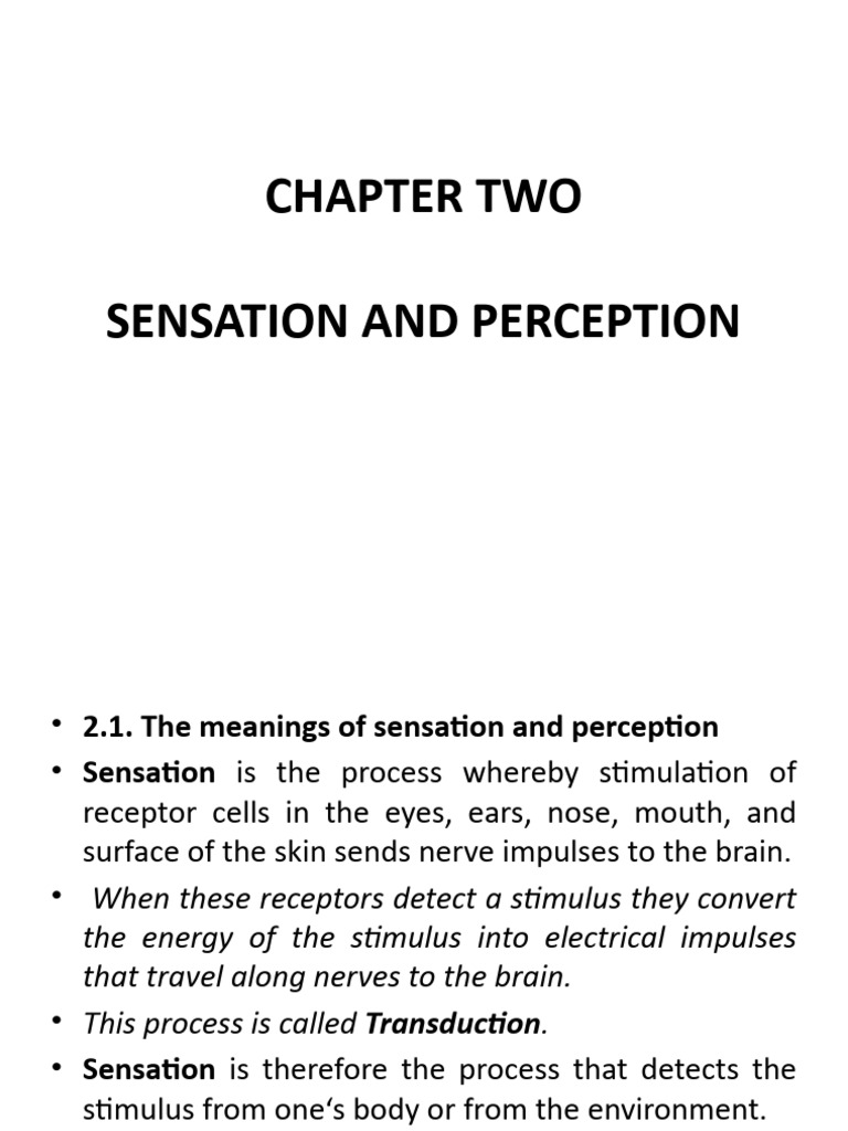 Chapter Two | PDF | Perception | Senses