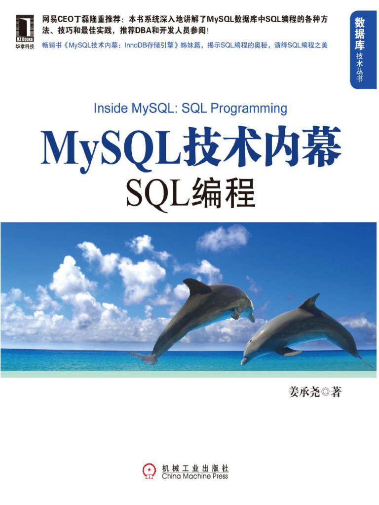 Mysql技术内幕：Sql编程 迷你书 It168文库 | PDF