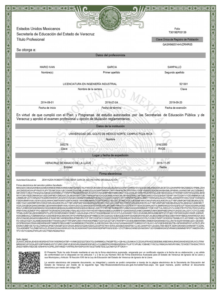 Título Profesional Electrónico SEP | PDF