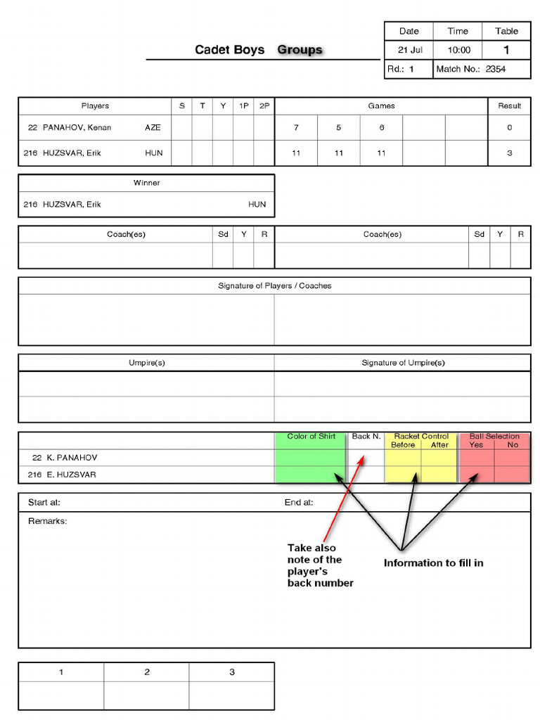 Individual Scoresheets Examples | PDF