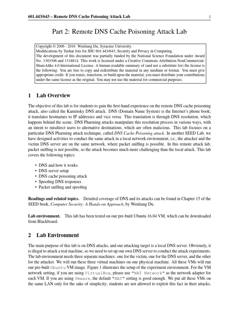 DNS_Remote | PDF | Domain Name System | Internet Standards