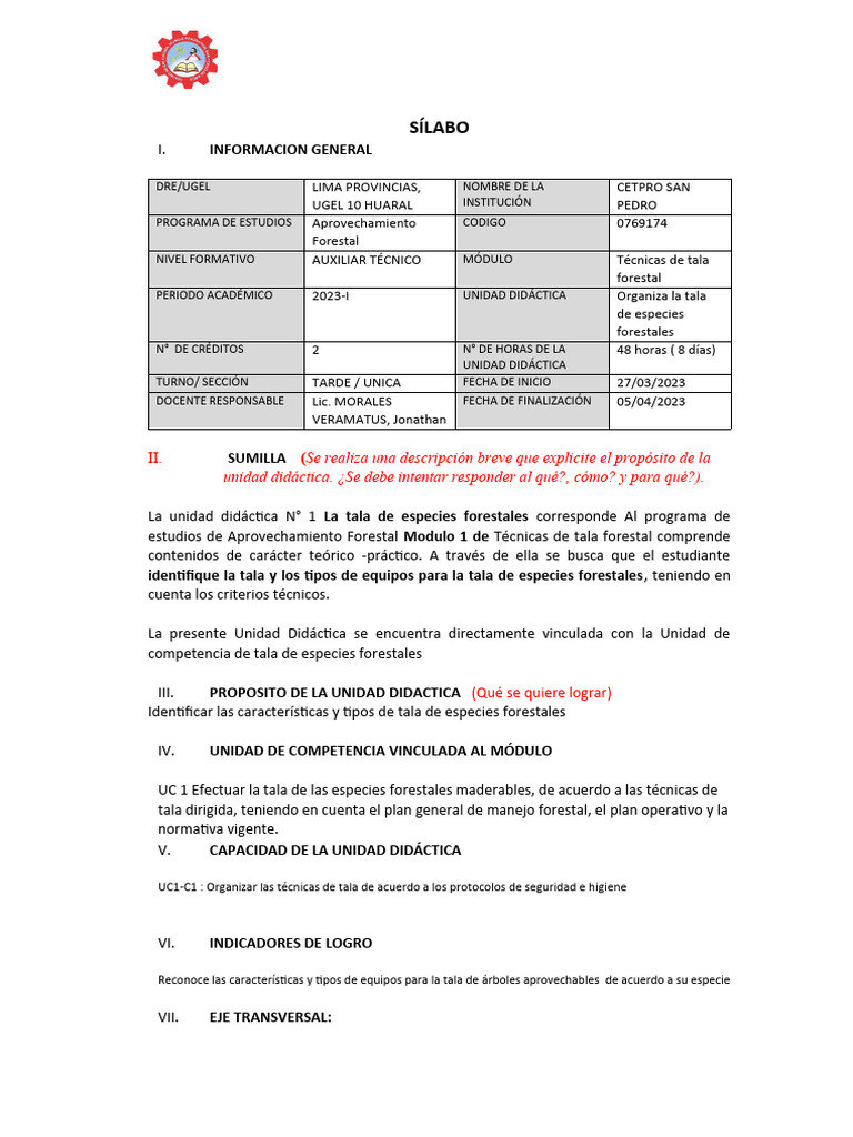 Modelo SÍLABO | PDF | Evaluación | Plan de estudios