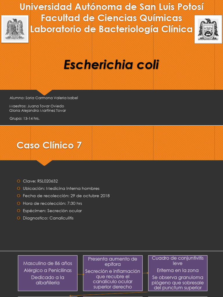 e coli | PDF | Escherichia coli | Diarrea