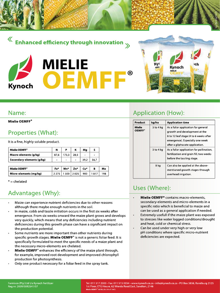 A16119 KYNOCH Mielie OEMFF English Profile Sheet | PDF