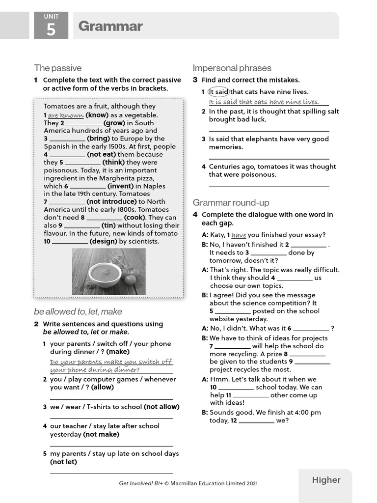 GI B1PLUS U5 Grammar Higher | PDF | Tomato | Language Mechanics
