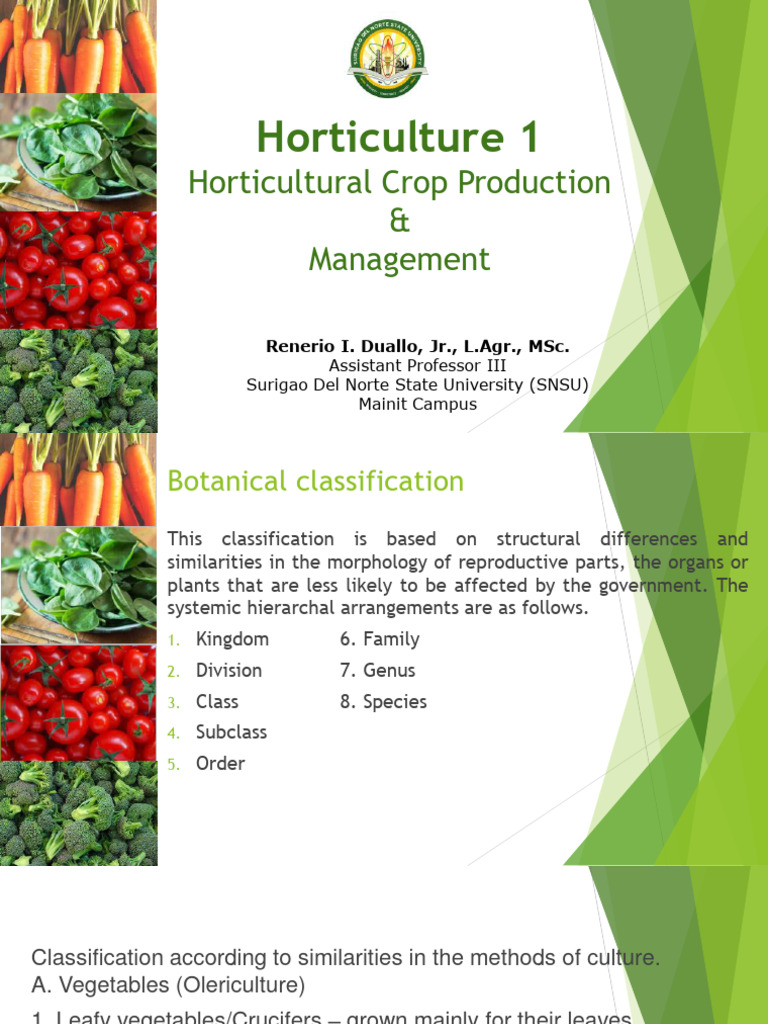 Botanical Classification | PDF | Legume | Broccoli