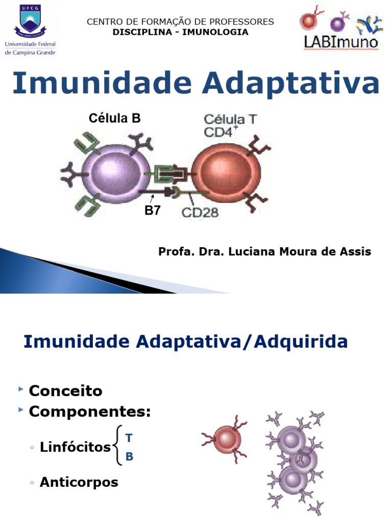 Imunidade Adaptativa: Tipos e Funções | PDF | Sistema imunológico ...