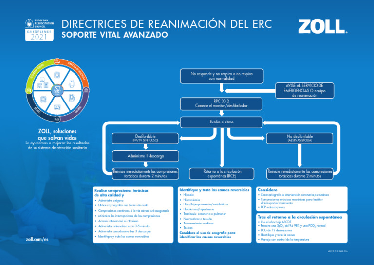ERC Guidelines Poster ALS ES-10 | PDF | Reanimación cardiopulmonar ...