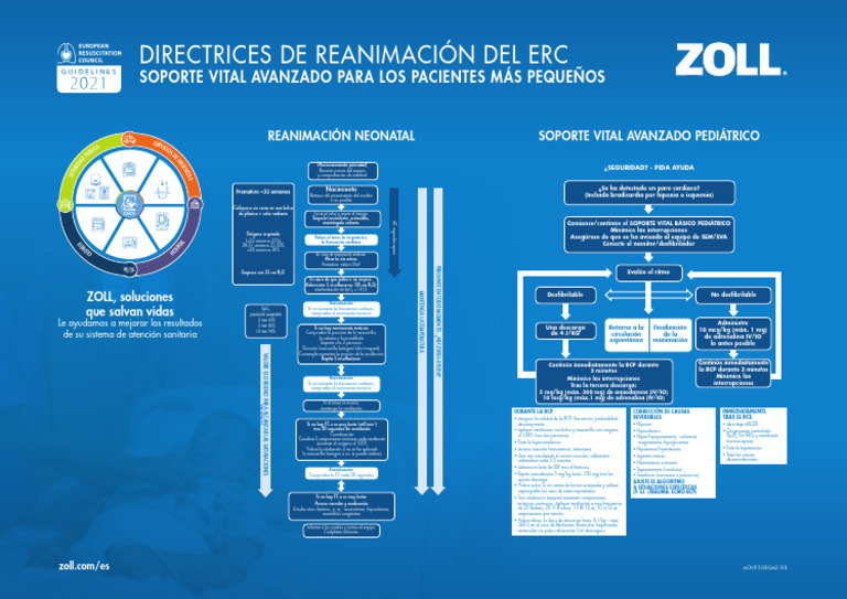 ERC Guidelines Poster PALS-NLS ES-10 | PDF | Reanimación cardiopulmonar ...
