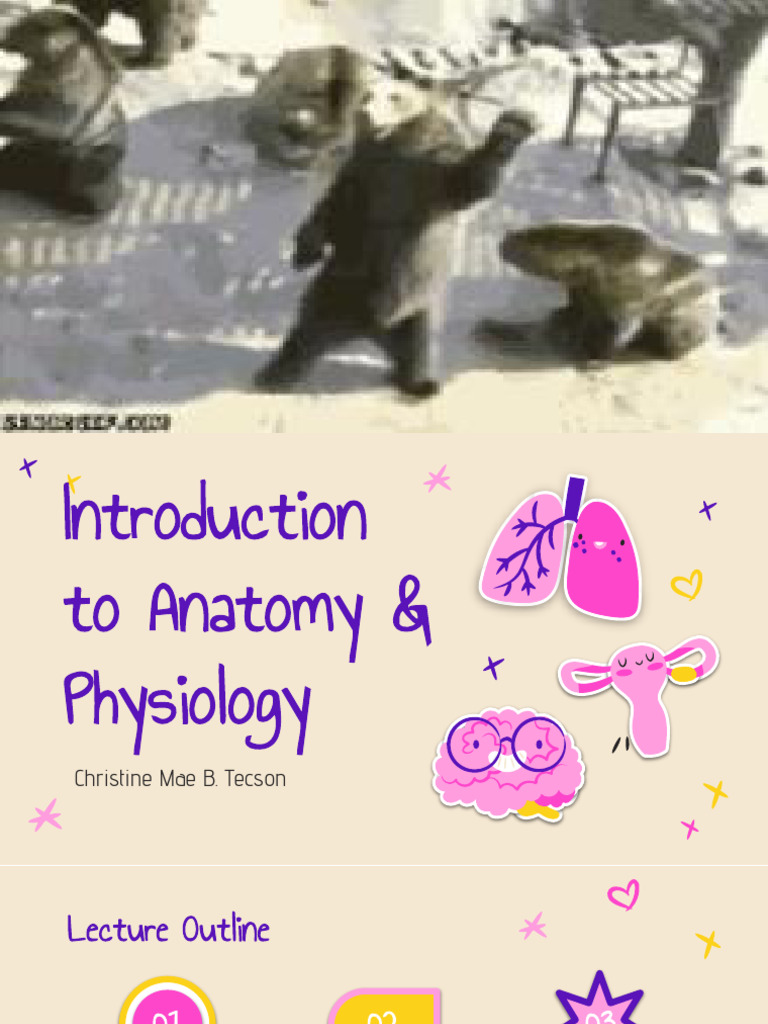 INTRO TO ANATOMY AND PHYSIOLOGY Final | PDF | Cadaver | Anatomy
