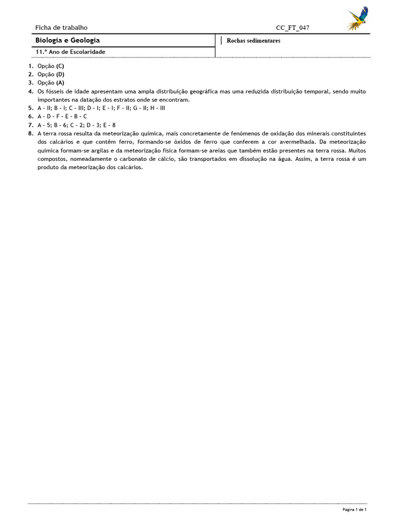CC_047_Ficha de trabalho_11_Ano_Rochas sedimentares | PDF