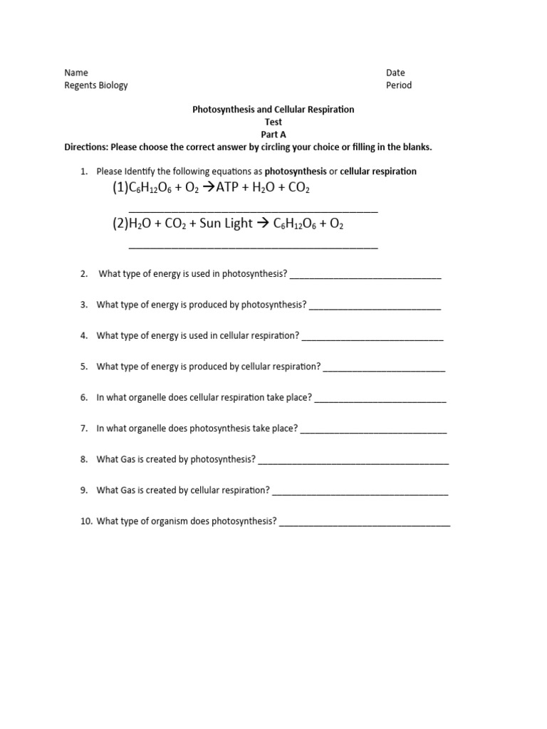 Photosynthesis & Respiration Test Guide | PDF | Photosynthesis ...