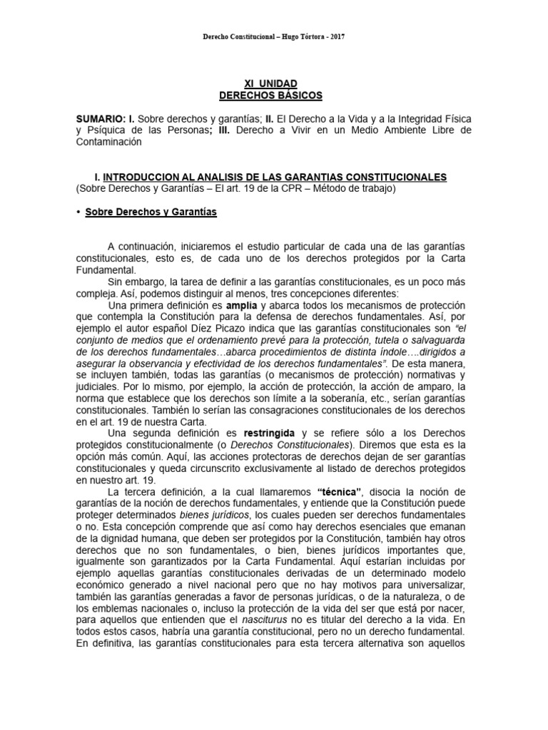 11 - Derechos Basicos | PDF | Derecho Constitucional | Derechos
